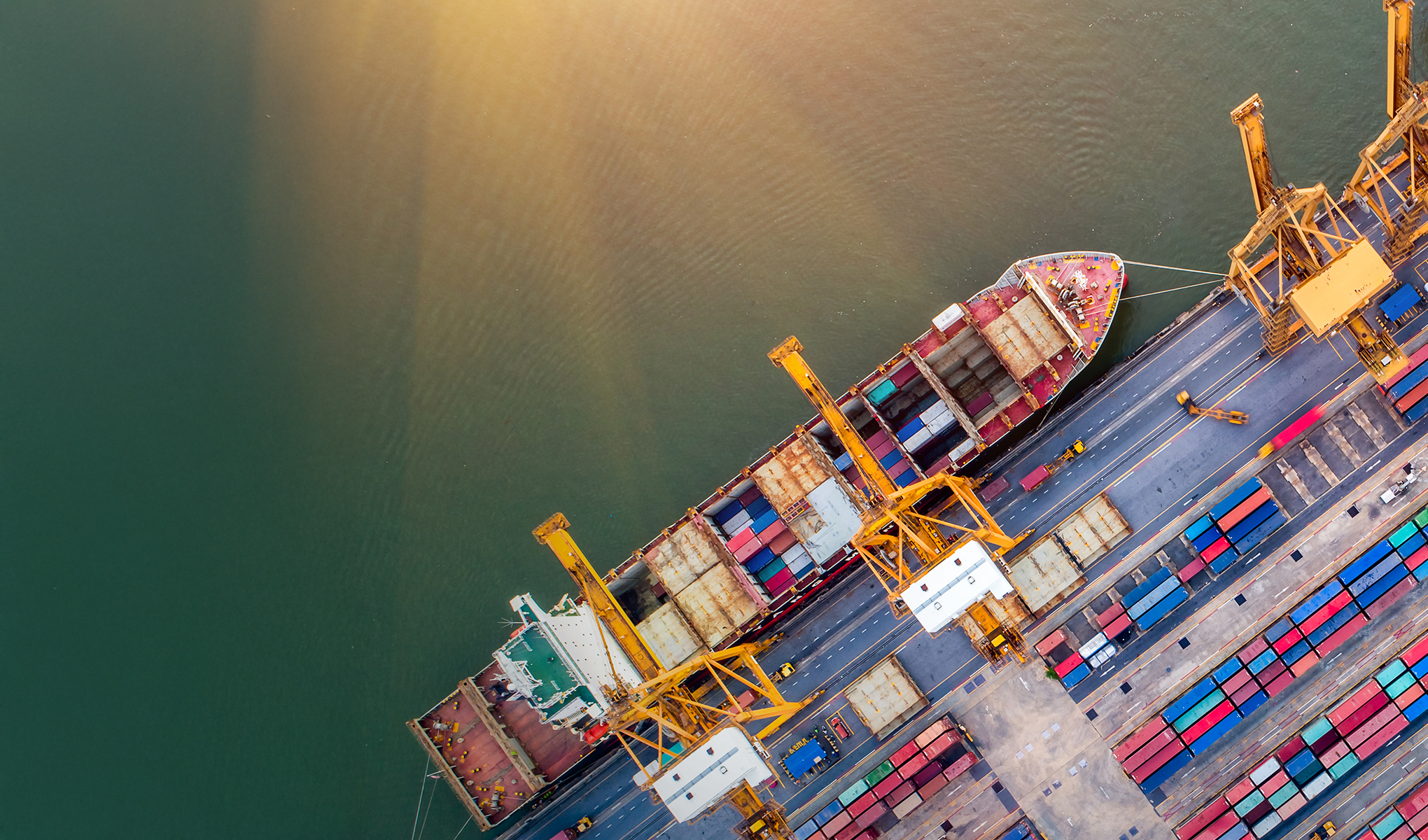 Container Shipping 2025: Strategies for Volatile Markets